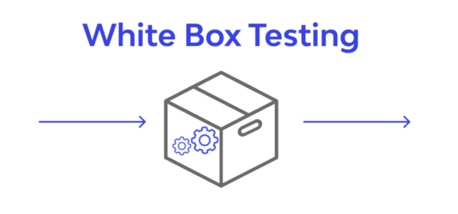 What is White Box Testing and Black Box Testing? - Quantum Computing